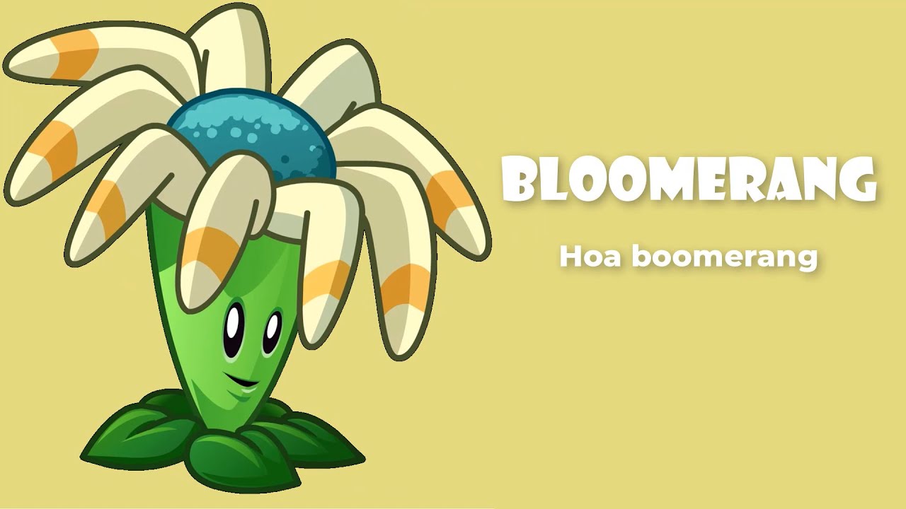 Plants vs Zombie 2 - Review Bloomerang trong game Plants vs Zombie 2 ...