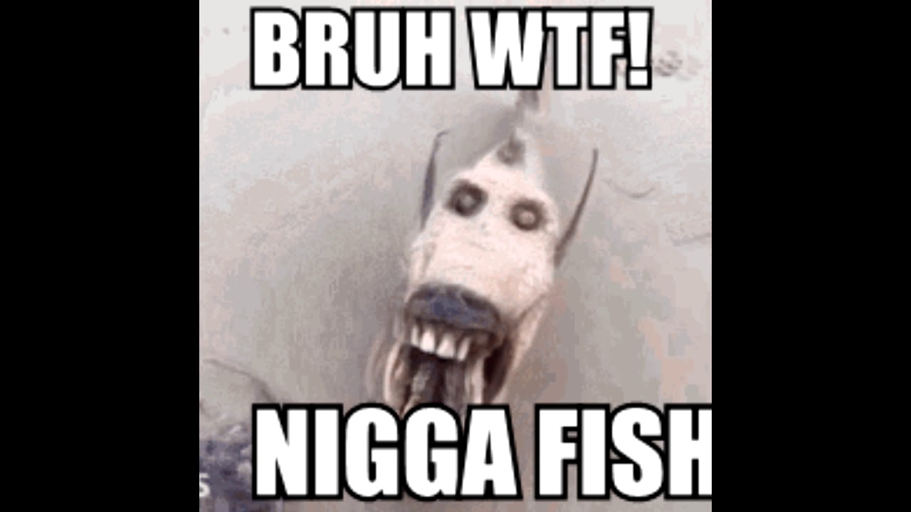 nigga fish - YouTube