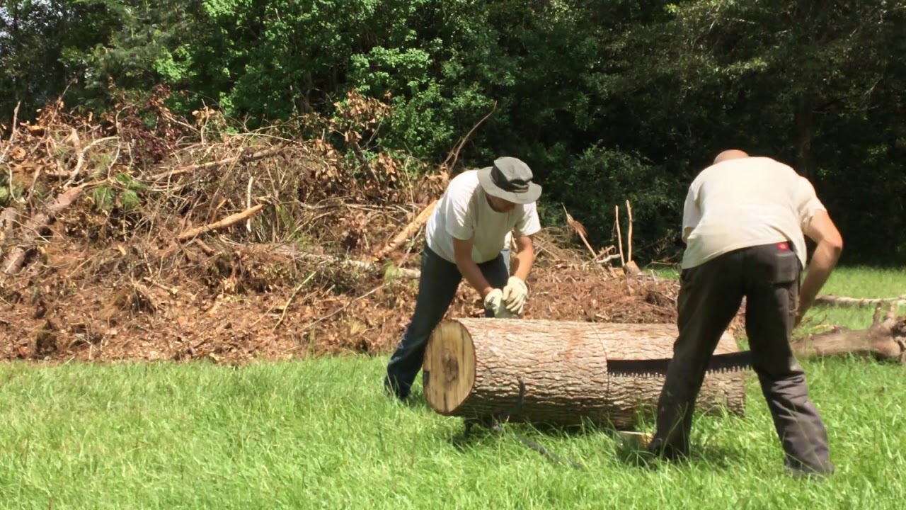 champion tooth two man crosscut saw - YouTube