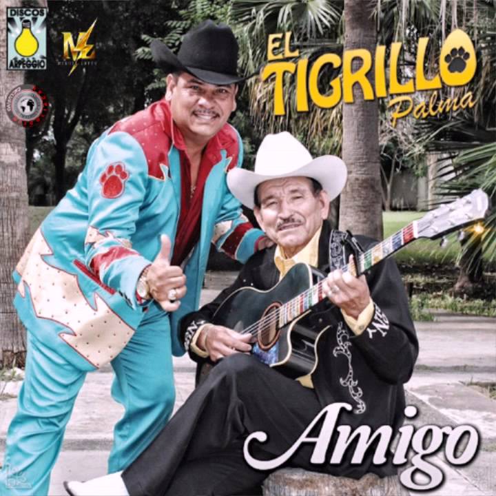 PISTA EN LA SIERRA EL TIGRILLO PALMA - YouTube