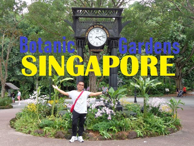 Nearest Mrt Station To Botanic Garden Singapore | Fasci Garden