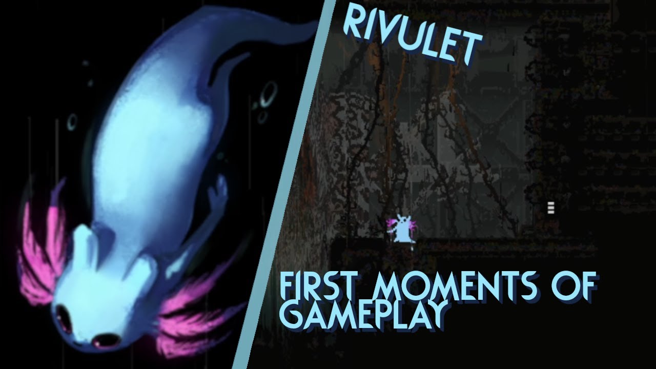 First 18 minutes of Rivulet's campaign! - YouTube