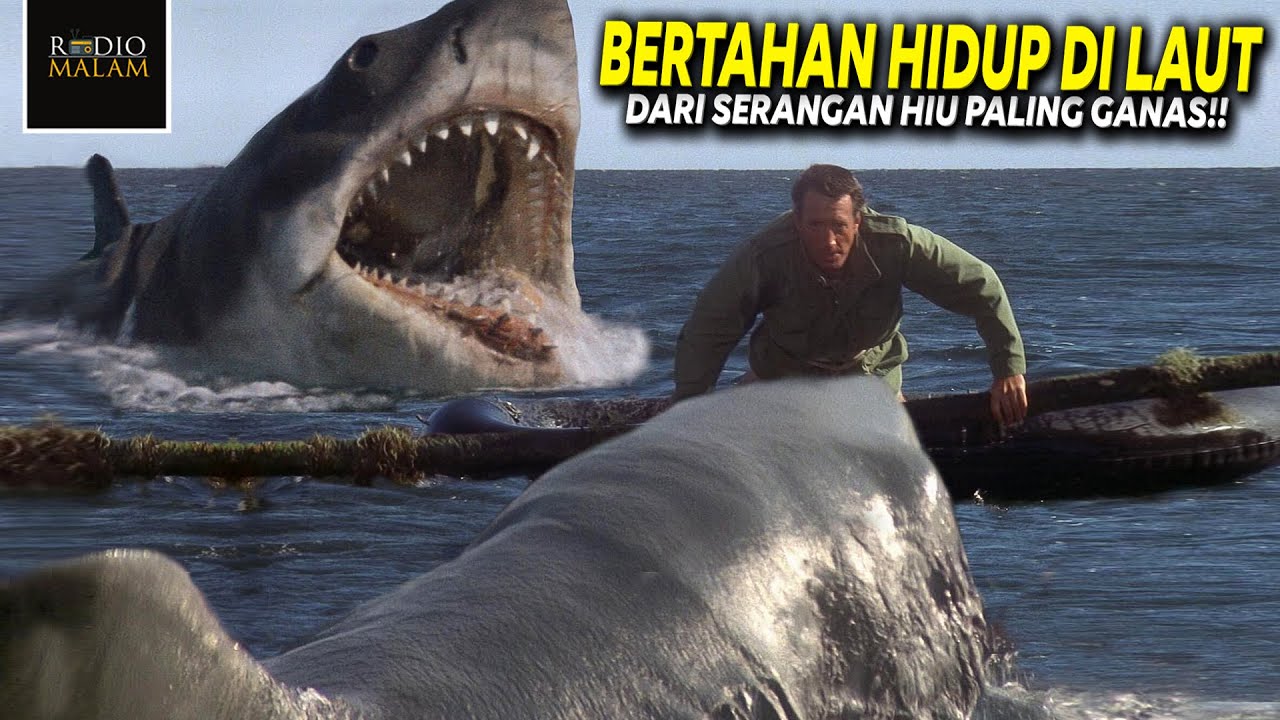 1 PULAU MATI LISTRIK, KARENA KABELNYA DIGIGIT HIU !! - Alur Film (1978 ...