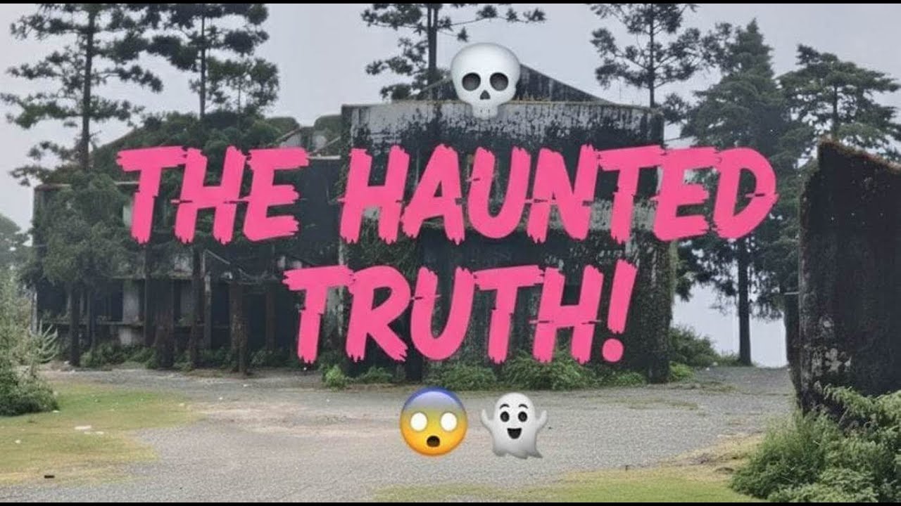 STOP SCROLLING! 🛑 THIS Dehradun-Kimadi Road Trip Changed Everything ...