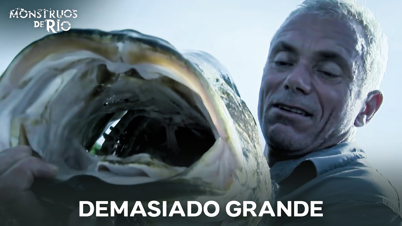 Top Momentos Más Intensos Del Río | T6 | Monstruos de Río - YouTube