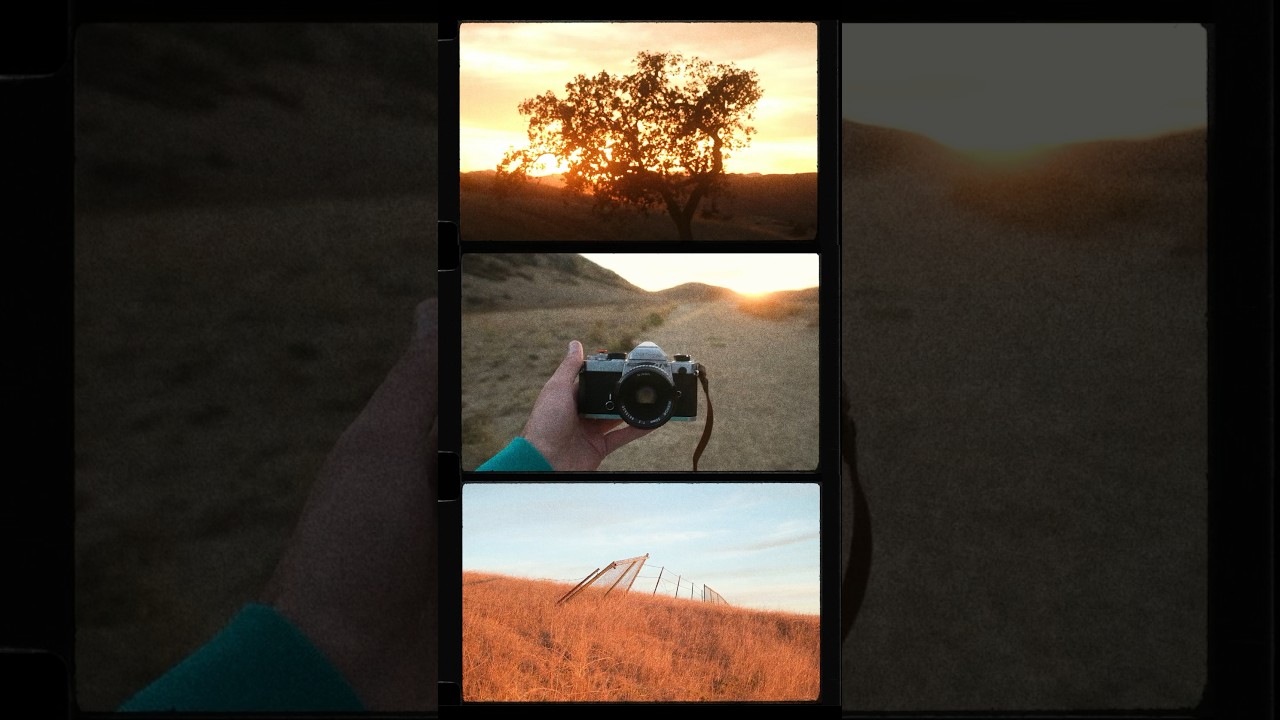 Nikon FM or a Leica M6? Which would you choose? #35mm #leica #nikon #film