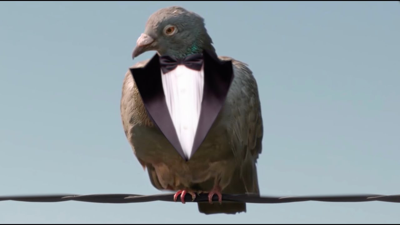 GOODFEATHERS (LIVE ACTION Animaniacs) - YouTube