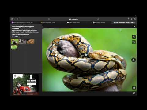 What is Python? - YouTube
