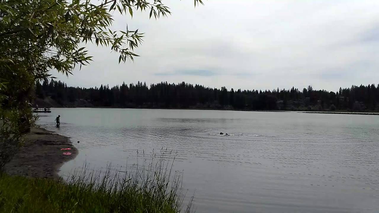 Fish lake, Cheney - YouTube