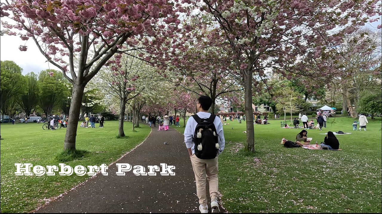 Spring Season in Herbert Park Dublin - YouTube