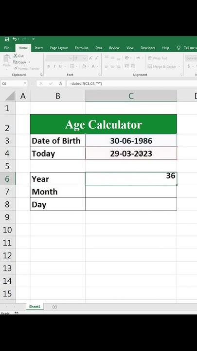 Age Calculator In Excel🔥🔥 Shorts Exceltips Exceltricks Youtube