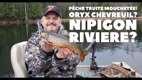 ON JASE avec STEPH MONETTE , Émission quotidienne de chasse et pêche - YouTube