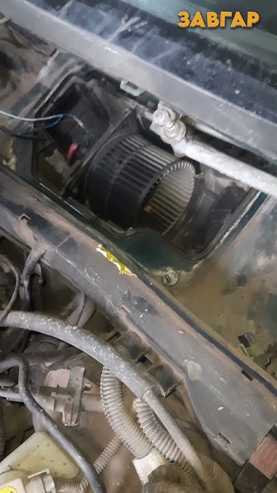 🔧 Опель Вектра В #автоелектрик #завгар #zavgar - YouTube