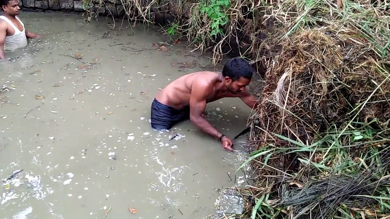 Coorg boys fishing in pond - YouTube