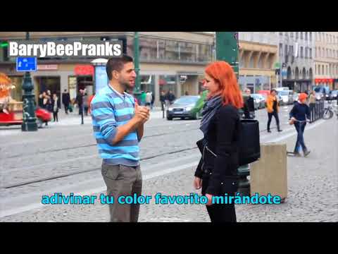 Merry Christmas BarryBee