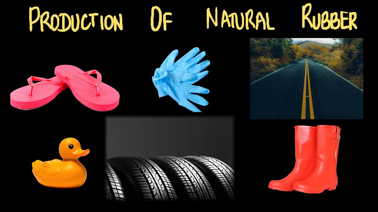 Production of Rubber | Substances in daily use | Middle School ...