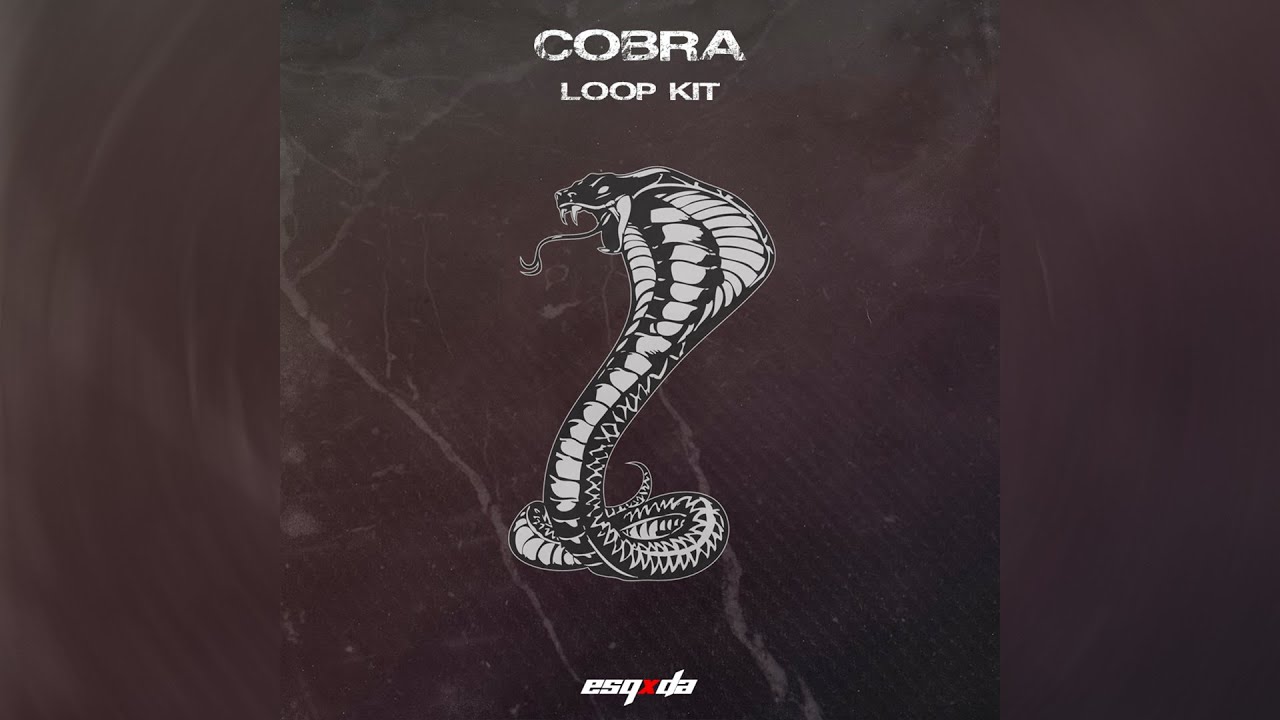 [FREE] (15+) DRILL LOOP KIT 2024 "COBRA" (Dark, Ethnic, Vocal) - YouTube