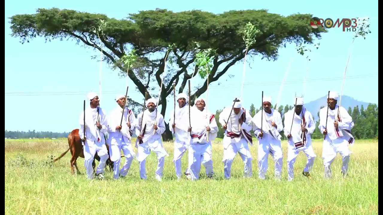 Tesfaye: Foollee (Oromo Music) - HD - YouTube