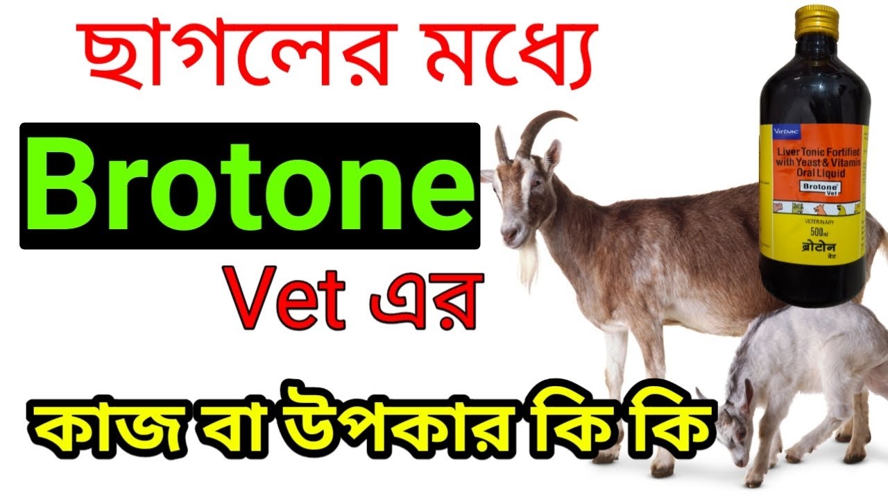 ছাগলের মধ্যে Brotone Vet এর কাজ বা উপকার কি কি | Brotone Vet Liver ...