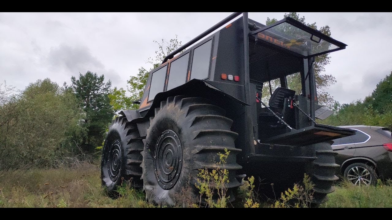 Chernobyl. "Sherp" Swamp walker view from the cabin through the forest ...