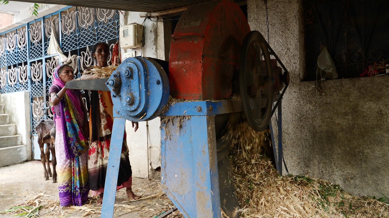 Maa Ravechi Mahila Mandal case study - YouTube