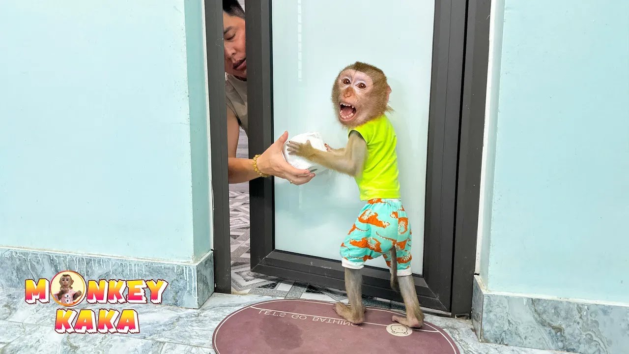 Monkey Kaka is so smart when dad helps dad get toilet paper - YouTube