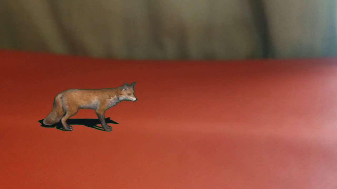 Fox moving animations - YouTube