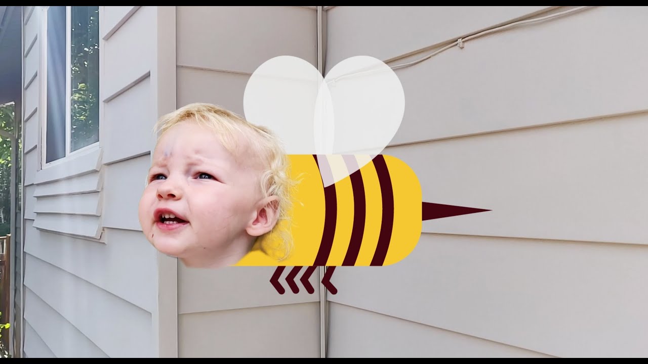 Max is a Bee - YouTube