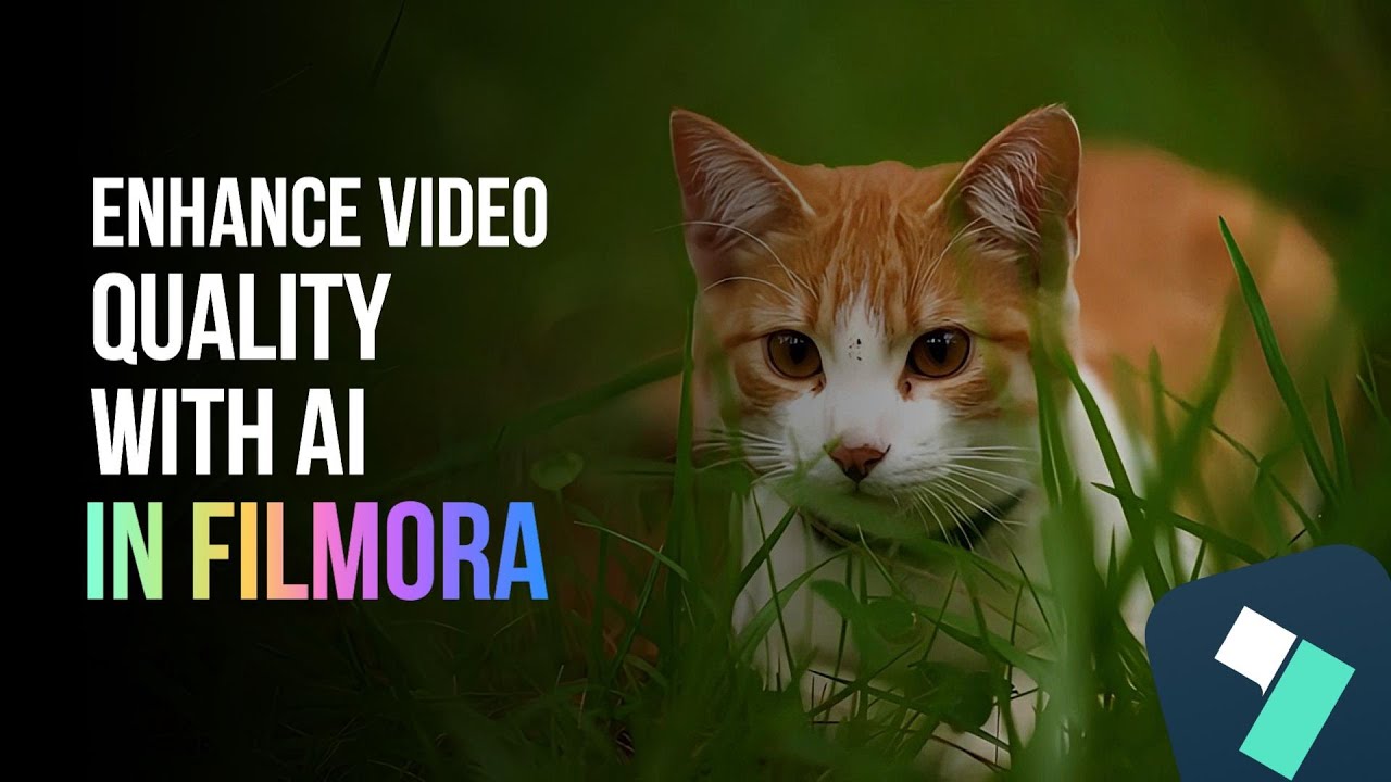 How To Enhance Video Quality With AI On Filmora 14 - YouTube