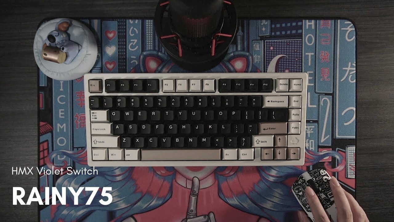 Rainy75 🌧️ | HMX Violet Switch | เทสเสียง - YouTube