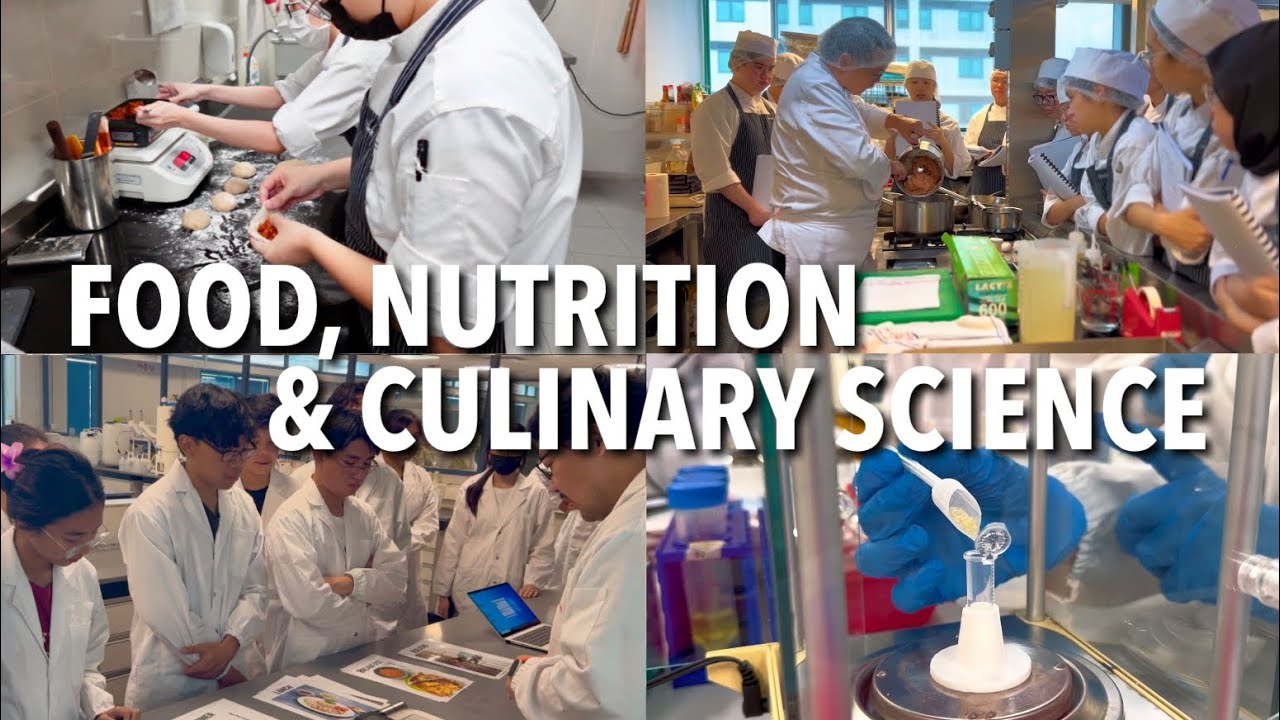 Diploma in Food, Nutrition & Culinary Science in Temasek Polytechnic ...