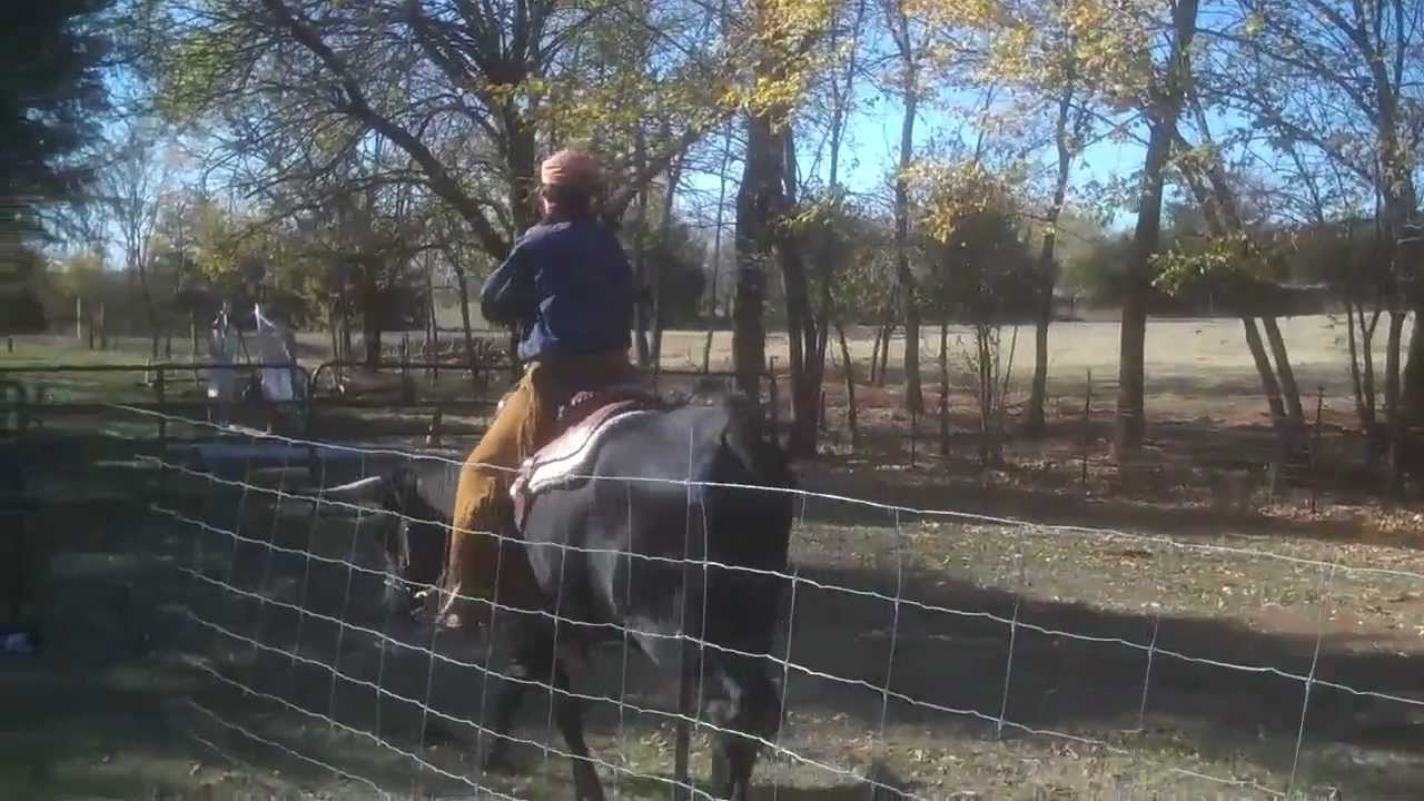 Riding Cow Girl Premier Exxonna - YouTube