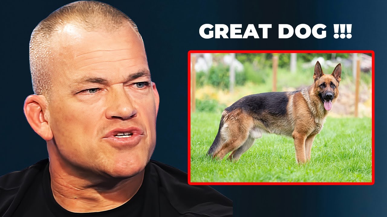 Jocko Willink On His Dog - YouTube