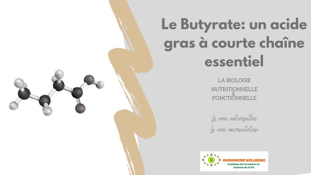 Le butyrate- un acide gras à courte chaîne - YouTube