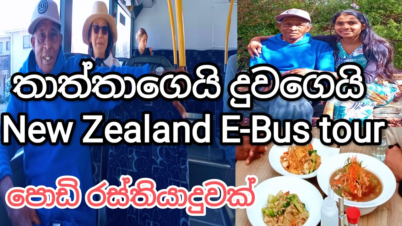 New Zealand Bus Tour with my farther#newzealand#life #travel @Chokde ...