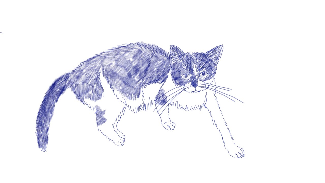 Draw a cat: yes, yes, I’m coming. - YouTube