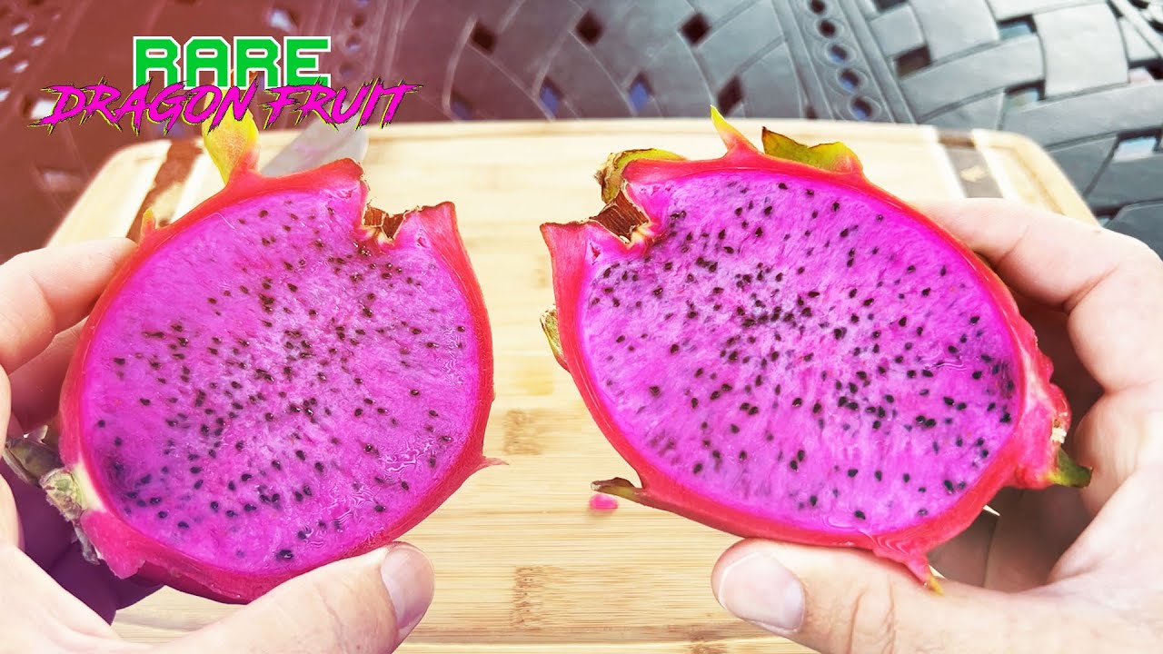 Maria Fucsia Dragon fruit TASTE and REVIEW / EXCELLENT / Guess the BRIX ...