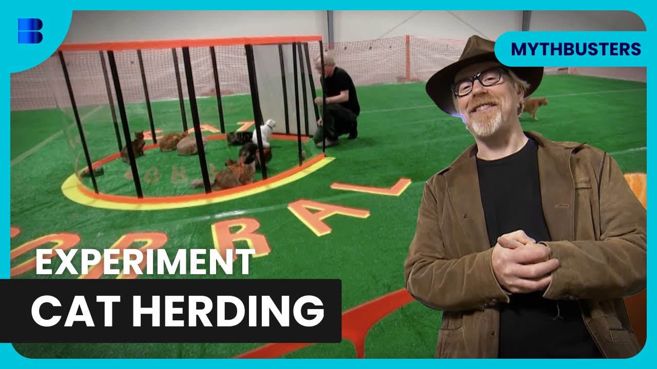 Impossible Task: Herding Cats! - Mythbusters - Science Documentary ...