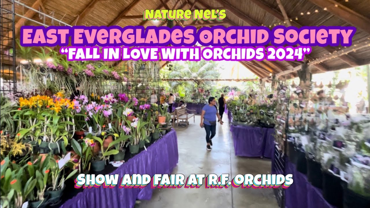 Great orchid fair and show presented by East Everglades Orchid Society ...