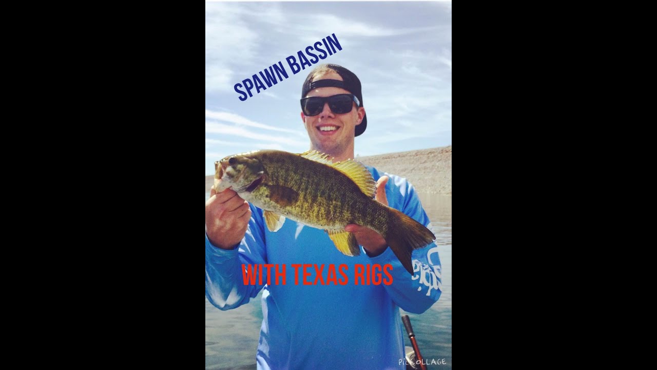 Spawn Bass Fishing With Texas Rig And Wacky Worm - YouTube