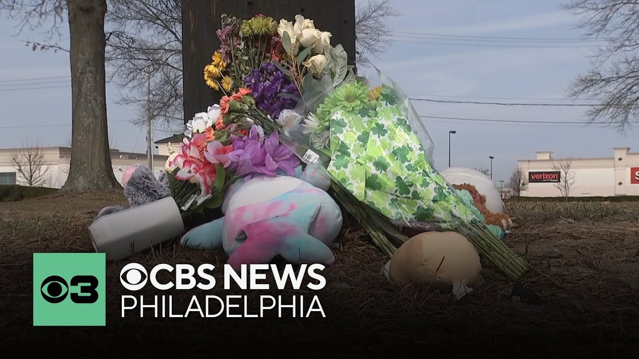 Families ask questions after 2 dead, 2 injured in fatal car crash in ...