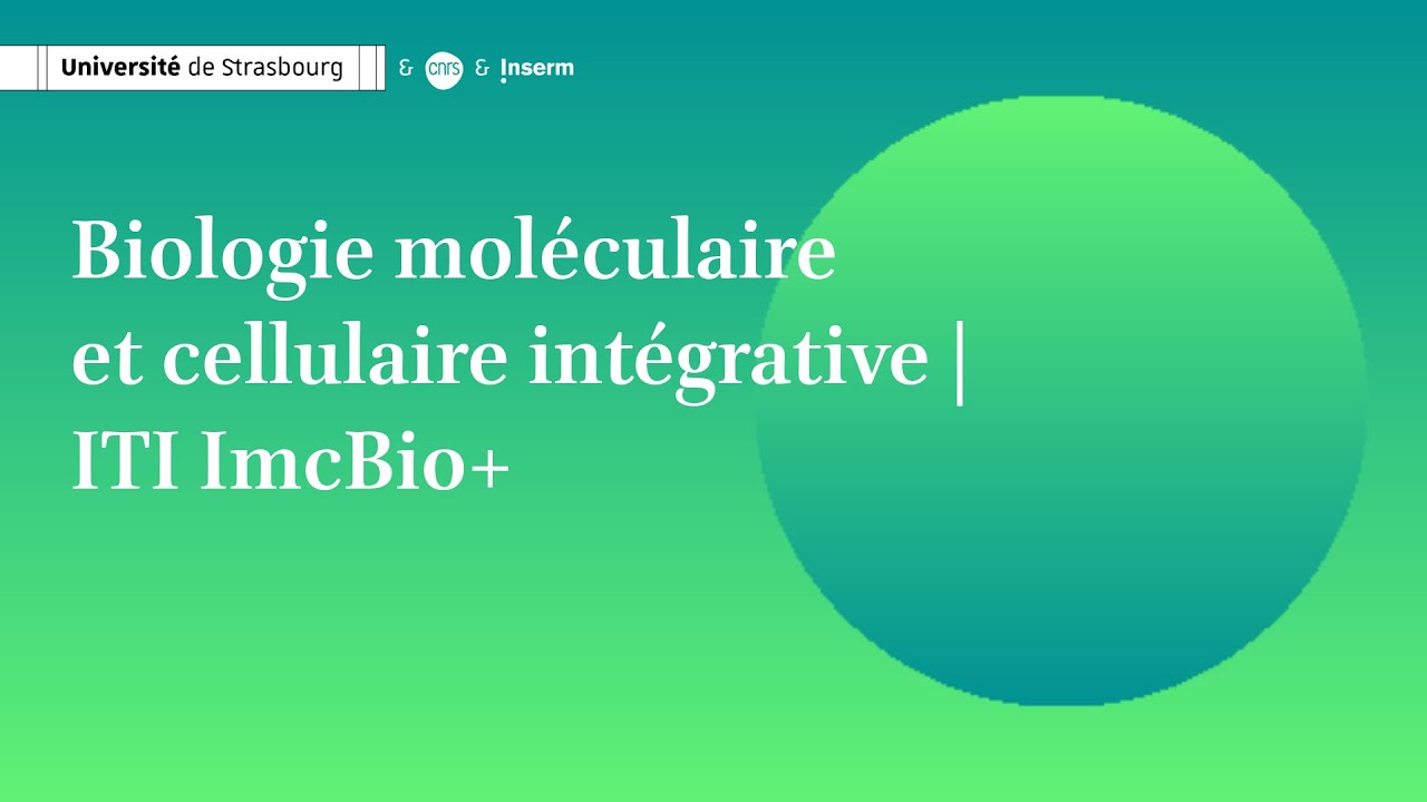 ITI | Biologie moléculaire et cellulaire intégrative - YouTube