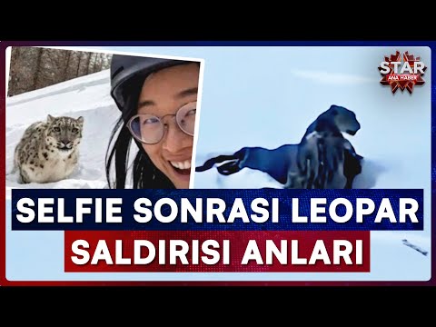 Selfie Çekilmek İstedi Vahşi Yaşamın Kurbanı Oluyordu | Star Ana Haber