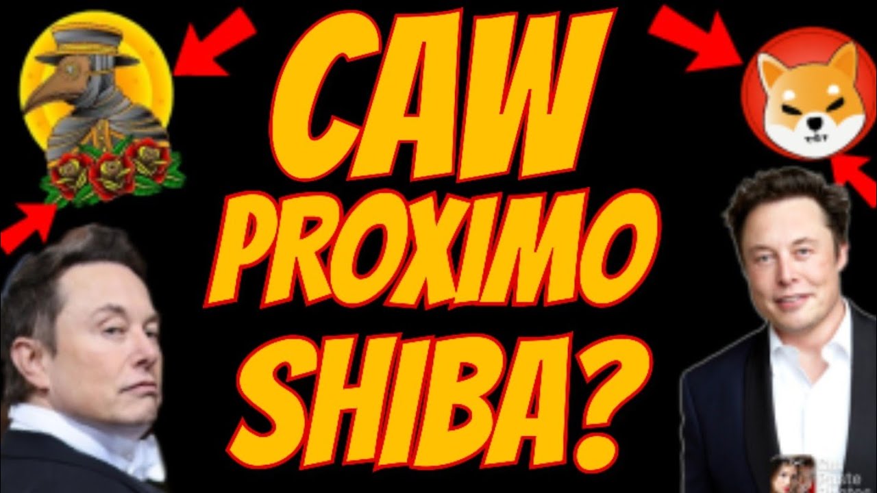 CAW CRIPTO SERÁ EL PRÓXIMO SHIBA INU?🤨🤔 CAW CRIPTO ECPLOTARÁ PRONTO ...