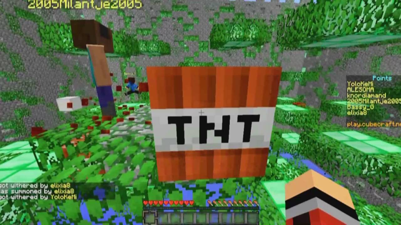 FLY BUG?! Minecraft Mini Games #4 - YouTube