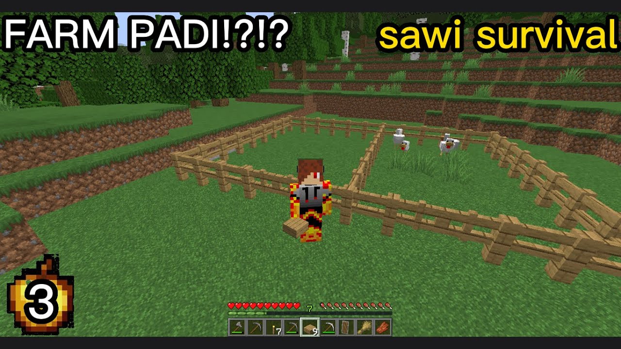 membuat pertanian ama ngisi ayam?!?1 | minecraft sawi survival #3 - YouTube