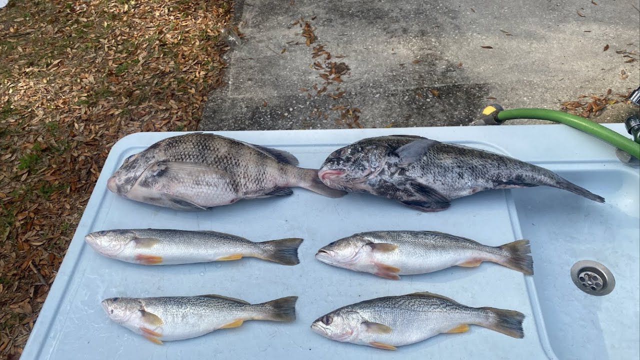 HOOKED INTO MY BIGGEST FISH OF 2023 WHILE SHOOTING A CATCH AND COOK ...