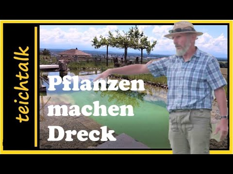 Teichdoktor Schwimmteich Erfahrung - YouTube