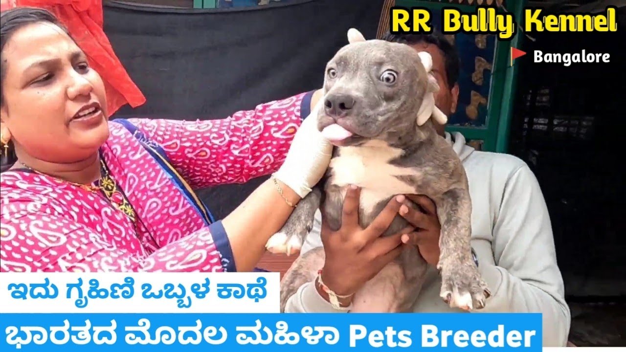 THE STORY OF RAHIMA | RR Bully Kennel | India First Women Dogs Breeder ...