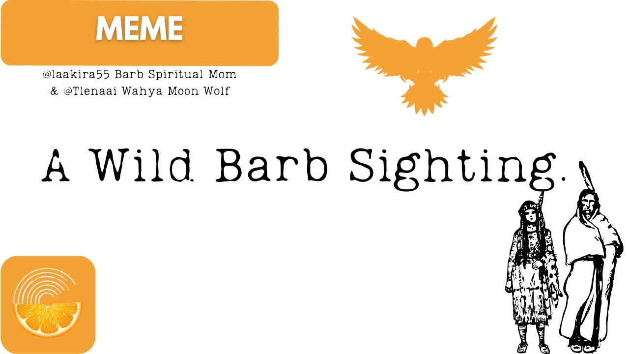 Wild Barb Sighting - YouTube